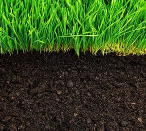 Soil Amendment - ExperiGreen
