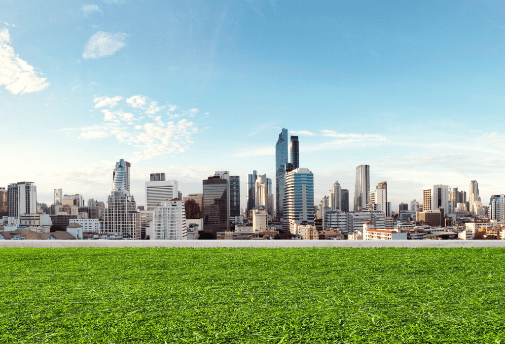 Your Local Branch - ExperiGreen