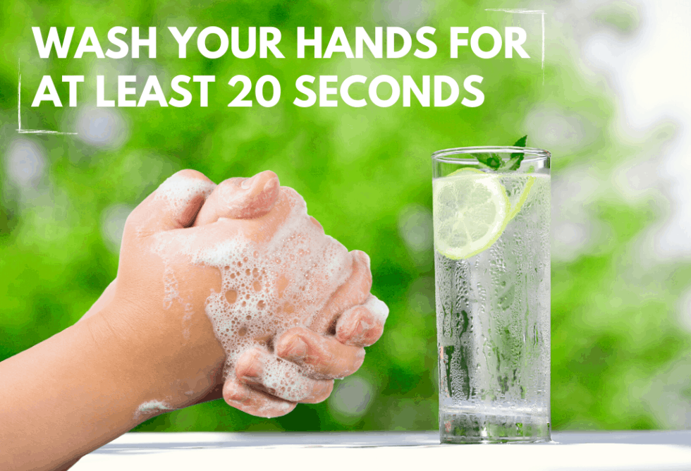 Safe Summer Cookouts - ExperiGreen