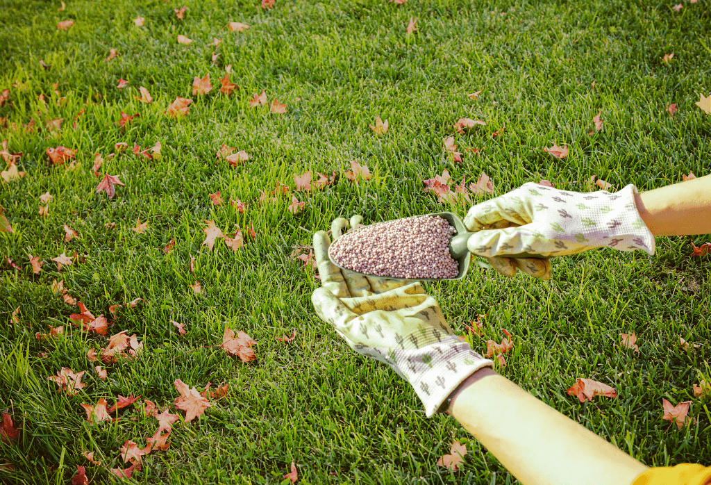 How Much Fertilizer Does My Lawn Need ExperiGreen
