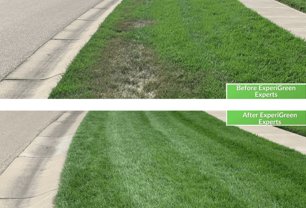 Affordable Lawn Care Services ExperiGreen affordable-lawn-care-services-experigreen