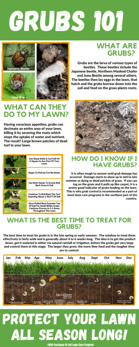 Grub Control - ExperiGreen