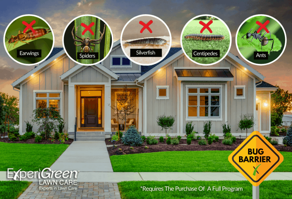 Perimeter Pest Control Program - ExperiGreen