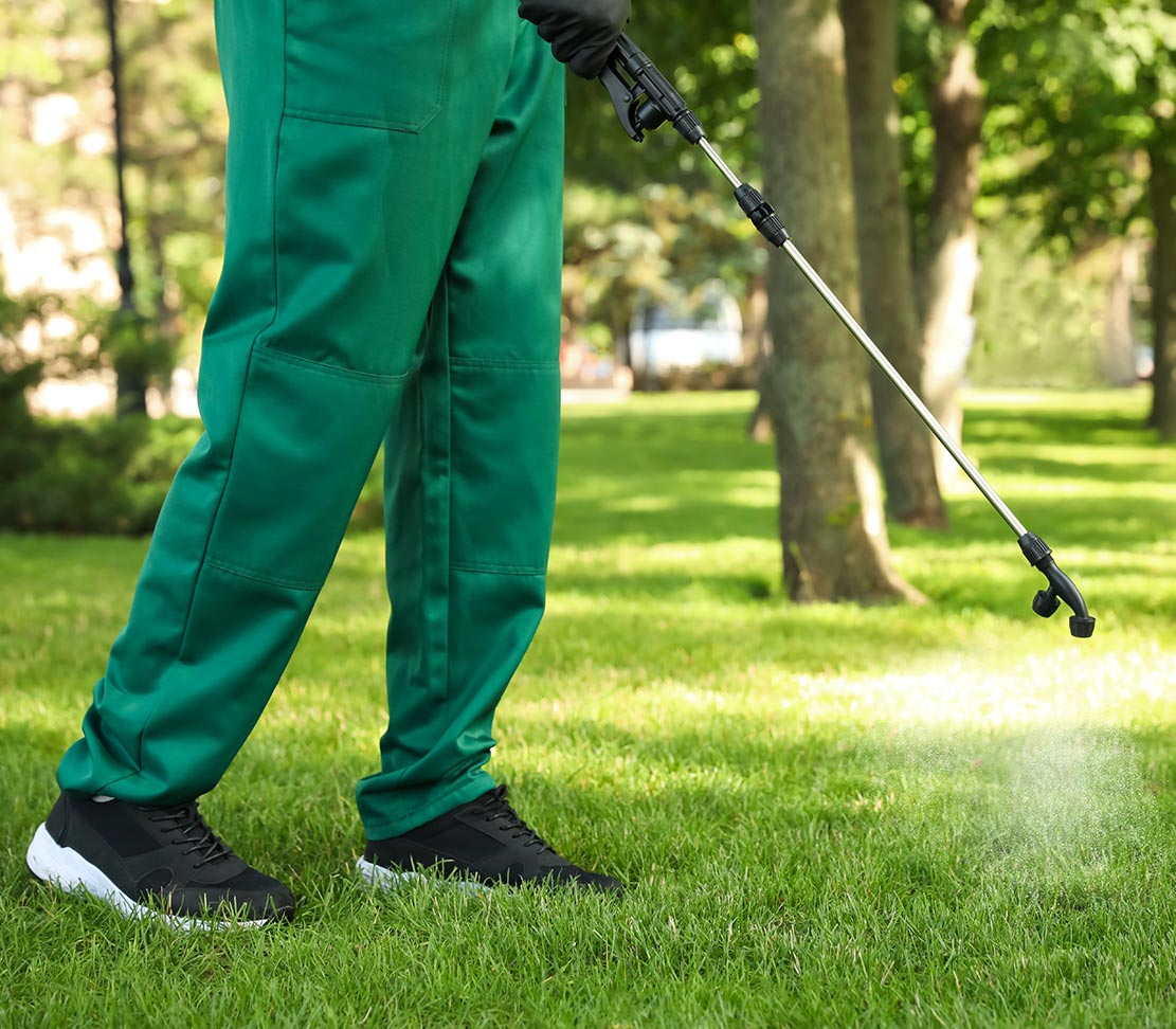 Insect Control For Lawns - Extermination & Treatment Services