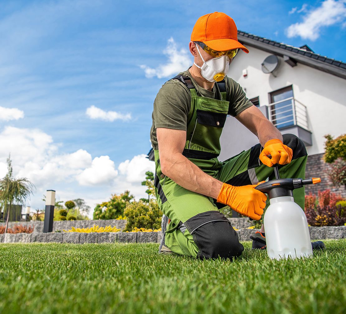 Fire Ant Control - ExperiGreen
